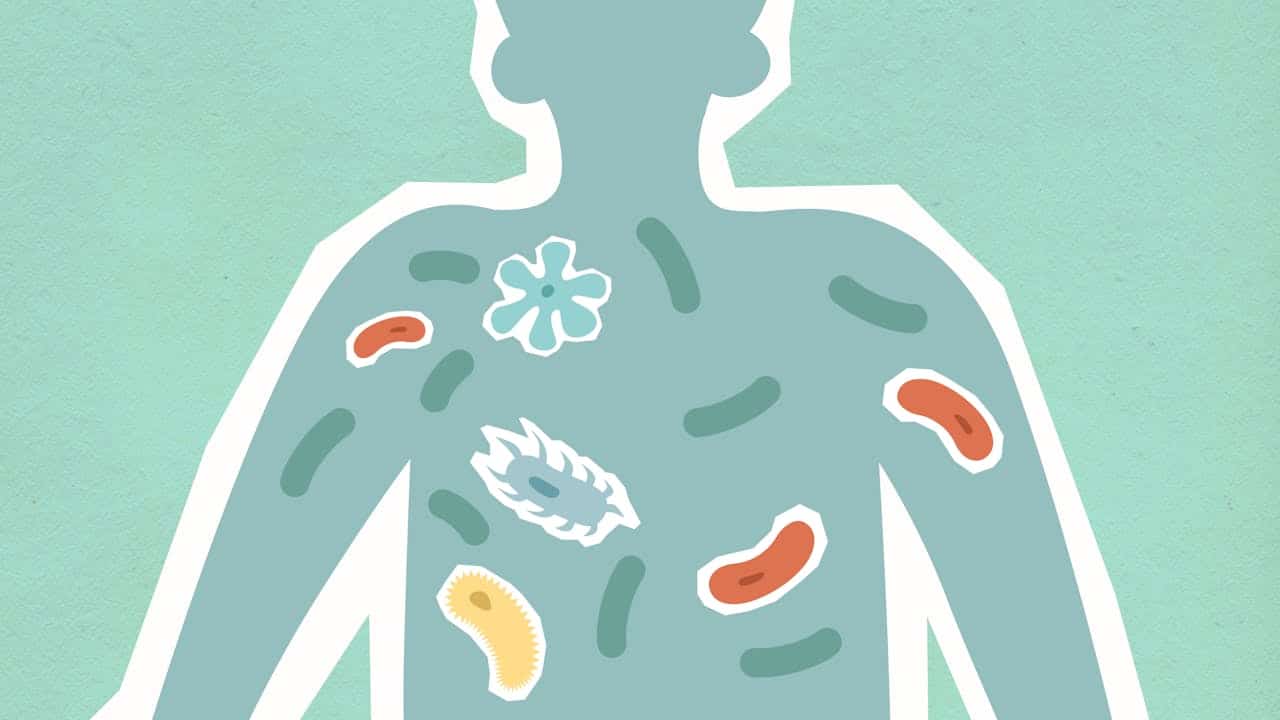 Gut Microbiome Interventions: What Probiotics Actually Do for Mental Health